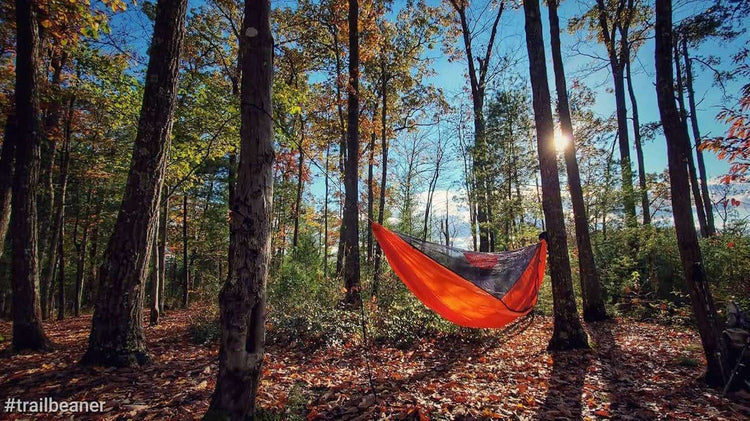 Dream Hammock