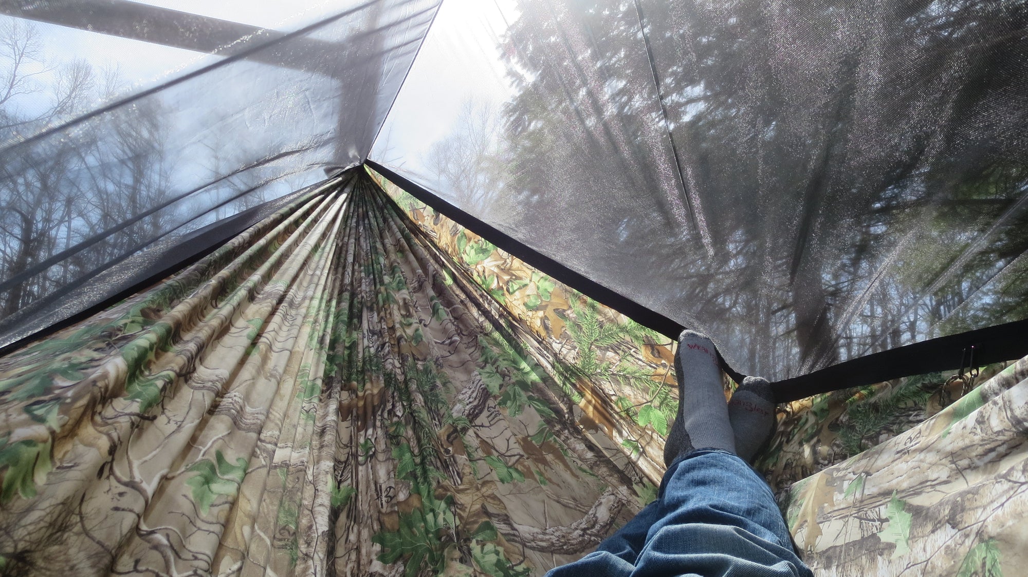 Dream Hammock